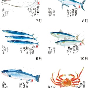 2025 Wall Calendar Sakana Saijiki Okamoto Hajime Collection Fish - Etsy