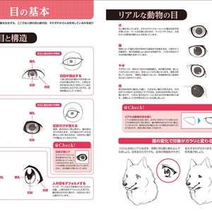 How to Draw Kemono Character Japan Furry Anime Manga Guide Art Book ...