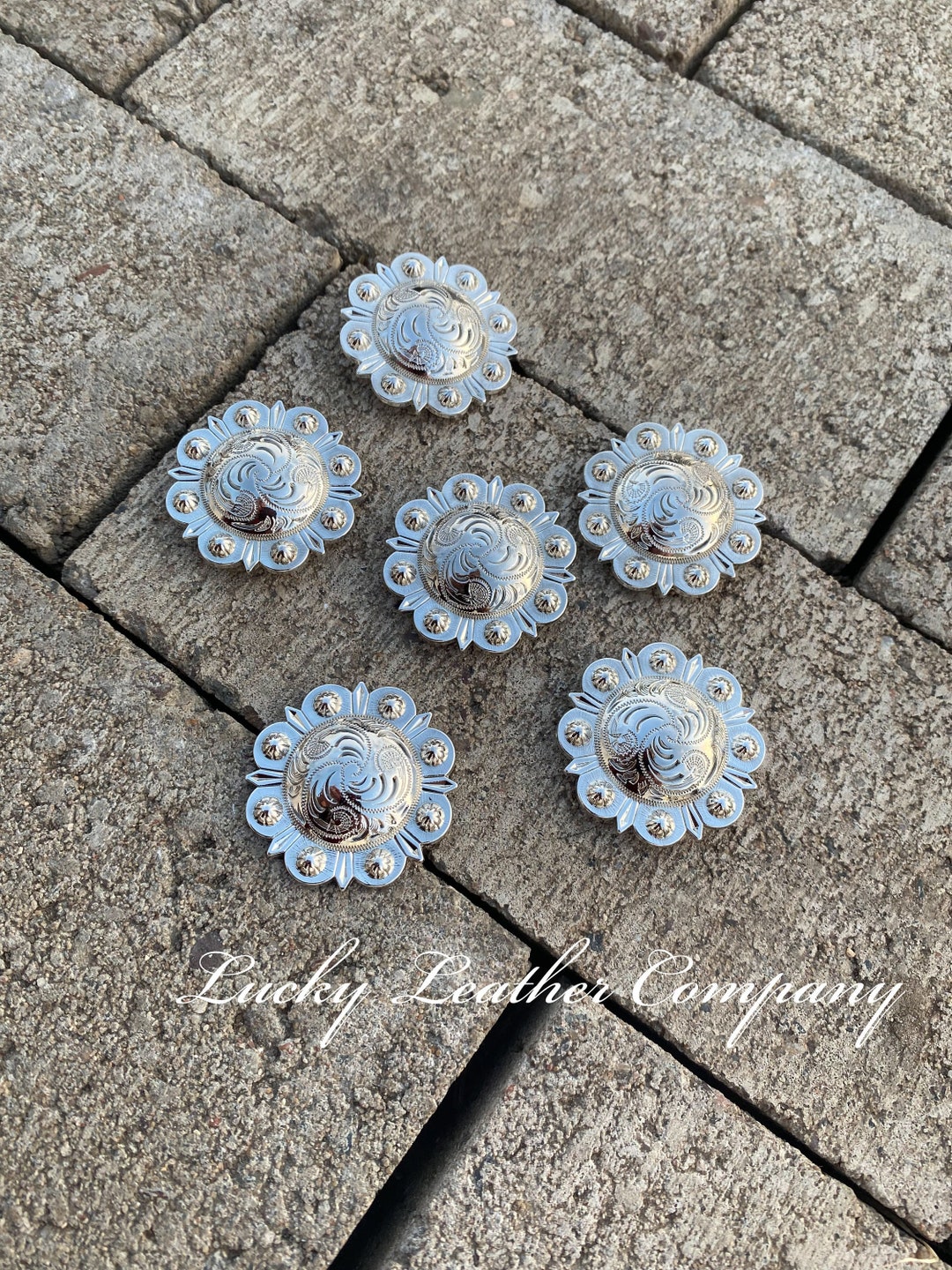 Bright Silver Round Berry Concho, Berry Concho, Western Concho ...