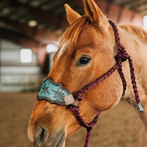 Maroon & Teal Feather Mule Tape Halter, Horse Halter, Western Tack, USA ...
