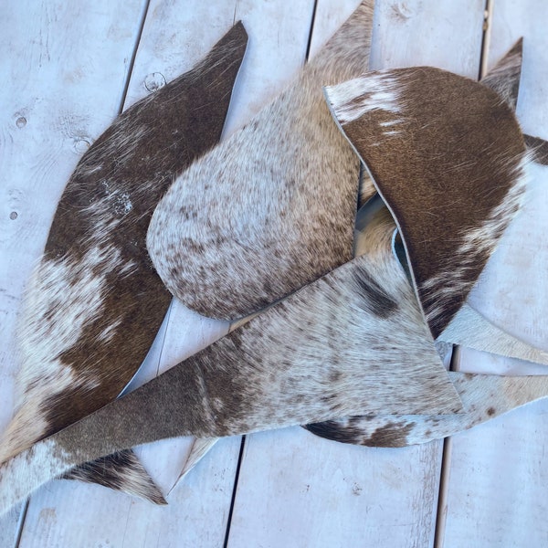 Cowhide Hair on Hide Rug - Etsy