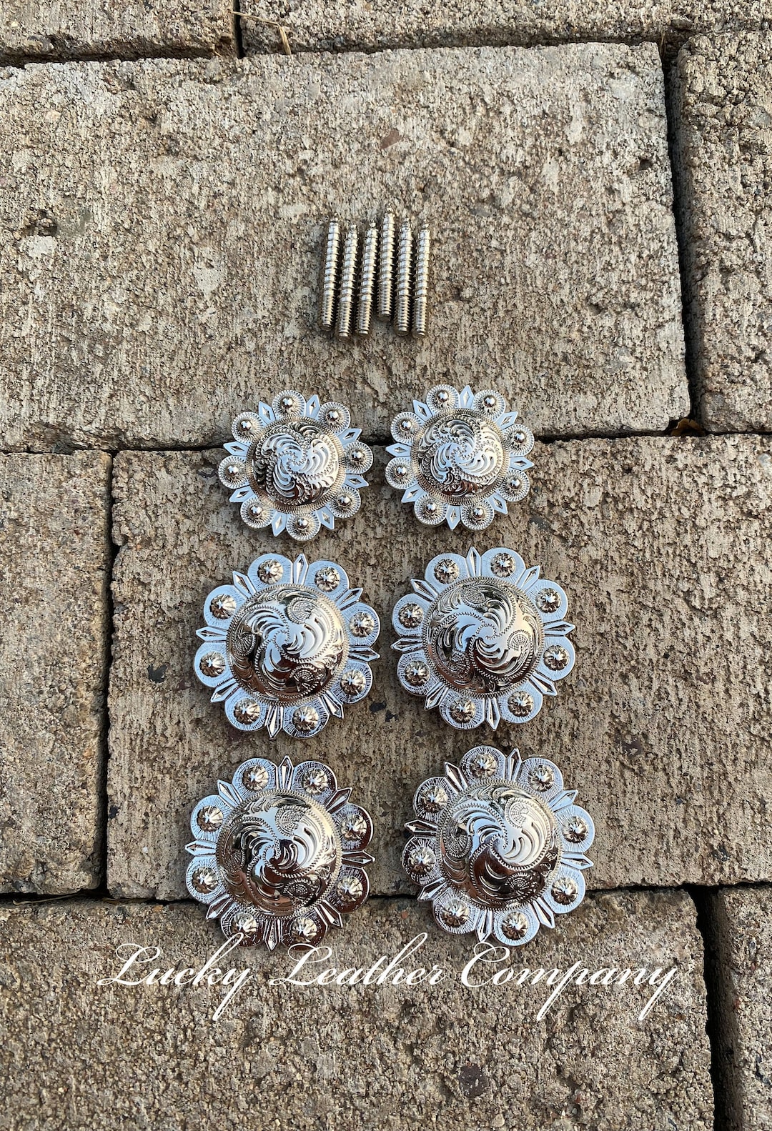 Bright Silver Berry Saddle Set, Replacement Saddle Conchos, Saddle Set ...