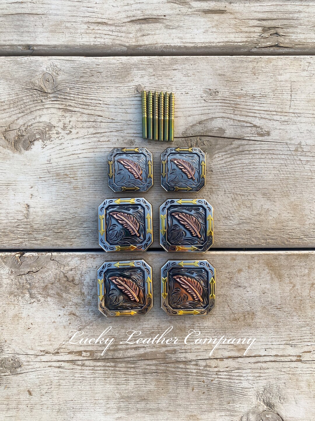 Antique Silver & Gold Square Feather Saddle Set, Western Saddle Conchos ...