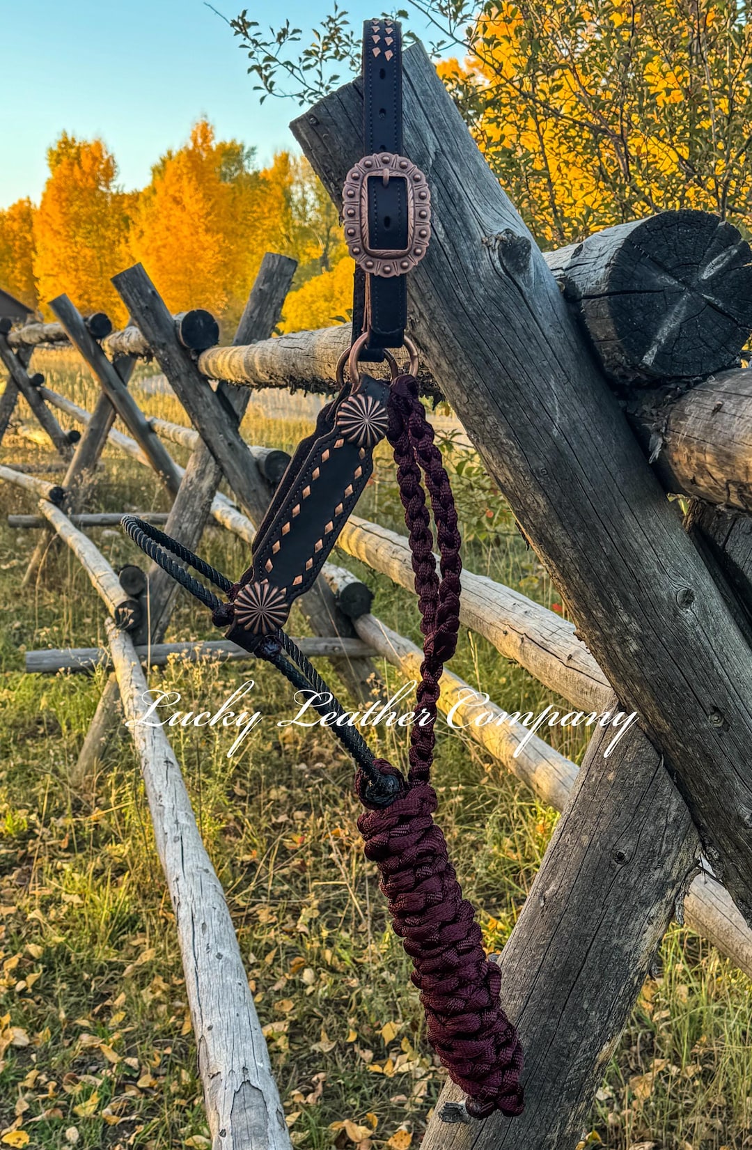 Maroon & Copper Hybrid Halter, Mule Tape Horse Halter, Leather Halter ...