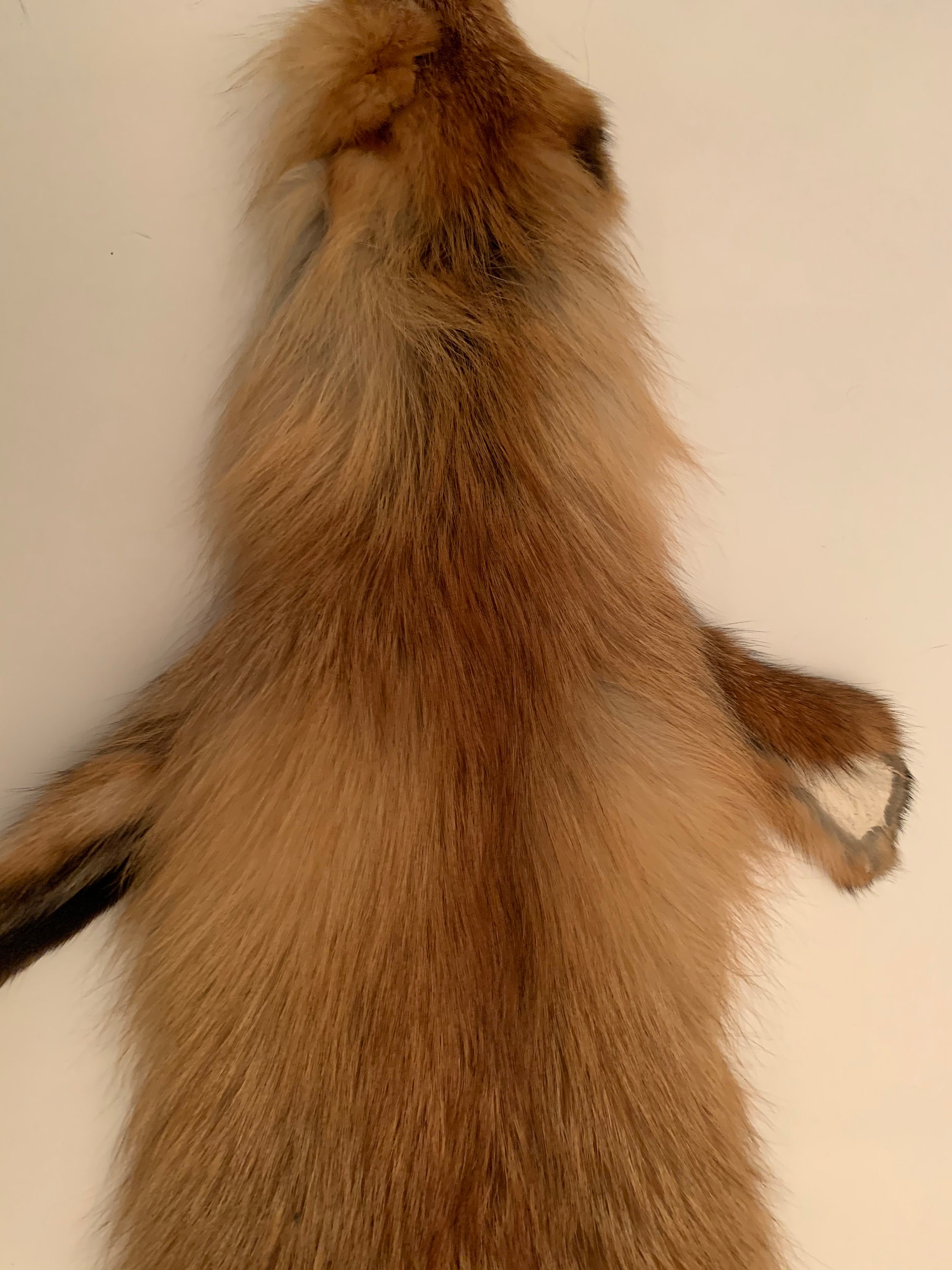 Fox pelt / Siberian fox pelt / Red fox pelt / Animal pelt / | Etsy