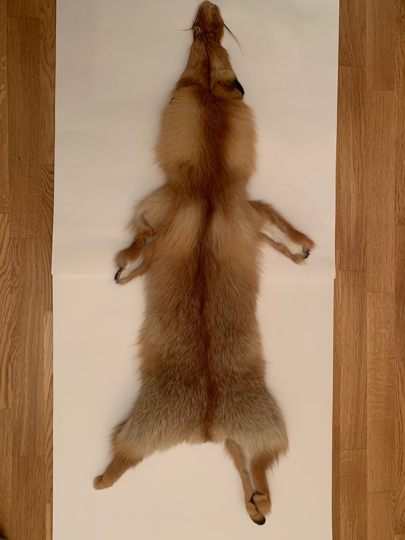 Fox pelt / Siberian fox pelt / Red fox pelt / Animal pelt / | Etsy