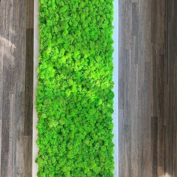 Preserved Lichen - Etsy