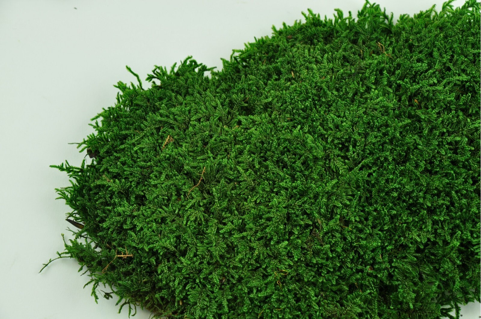 Choose Your Set of Moss Art of Preserved Moss Wall Hexagons - Etsy