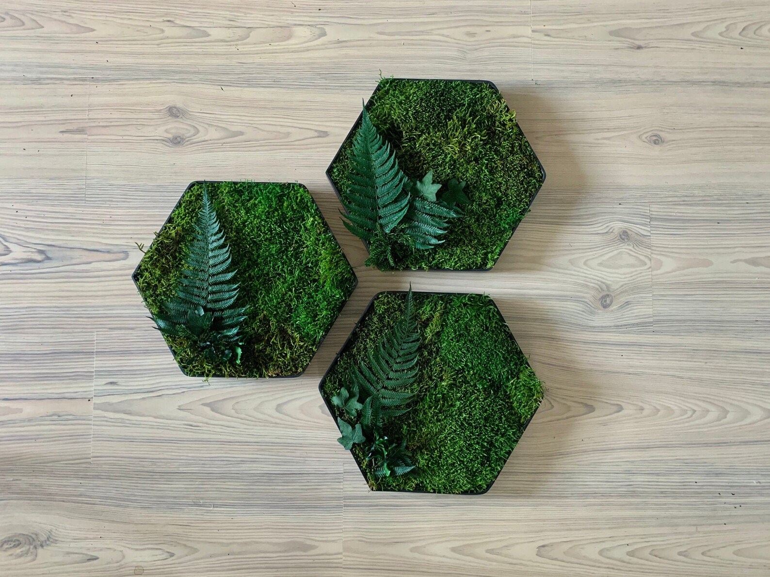 Choose Your Set of Moss Art of Preserved Moss Wall Hexagons - Etsy