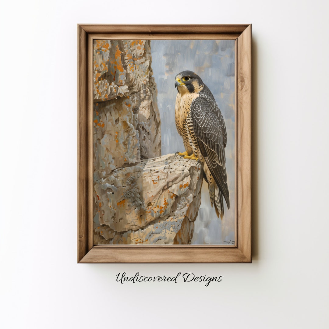 Falcon Art Printout Printable Wall Art Vintage Art Prints Digital Art ...