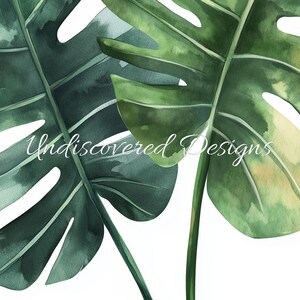 Monstera Deliciosa Printable Botanical Art Printout Printable Wall Art ...