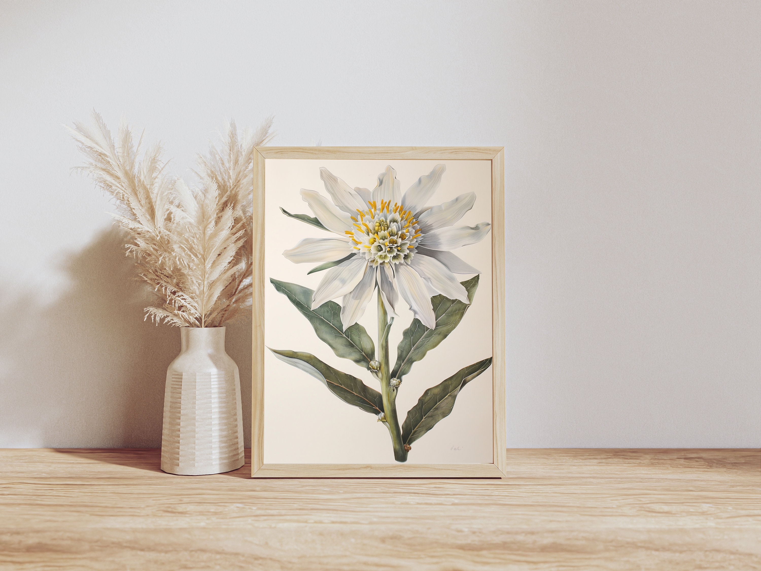 Edelweiss Botanical Painting: Vintage Floral Art Print (digital ...