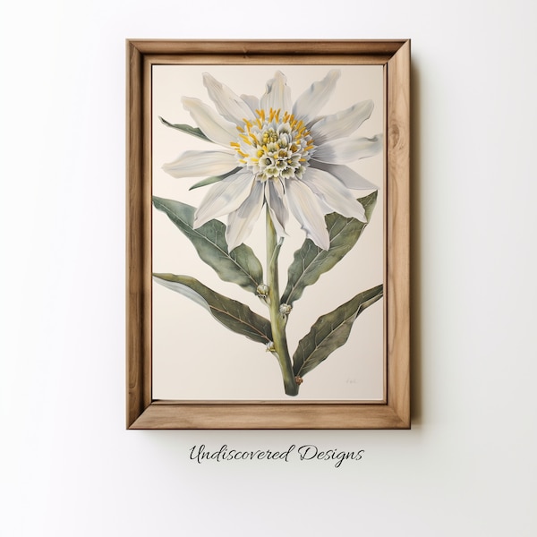 Edelweiss Wall Art - Etsy