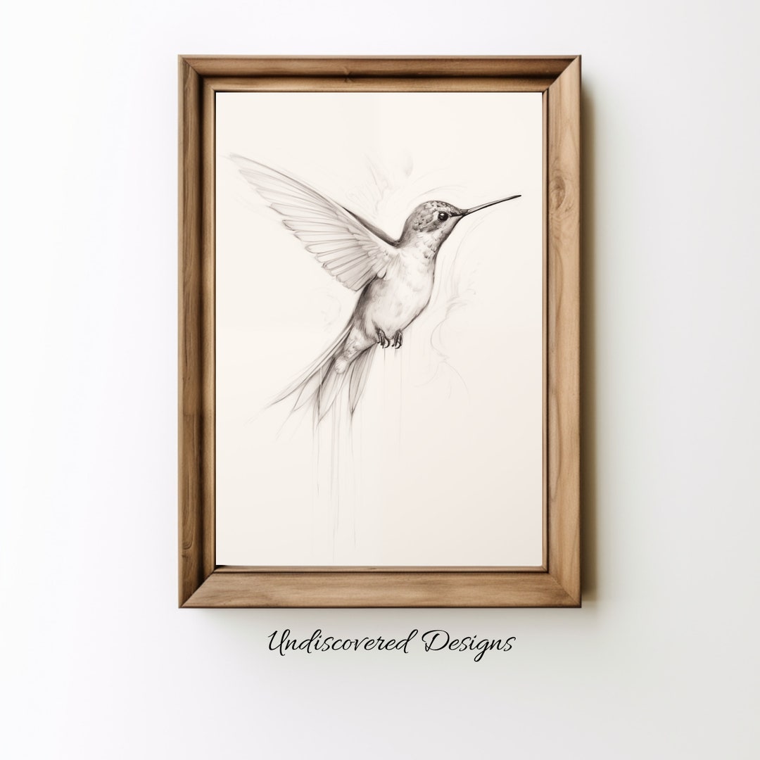 Hummingbird Drawing Bird Drawing Rustic Wall Art Hummingbird Pencil ...