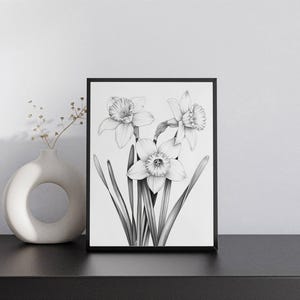 Daffodil Sketch Art Printout Printable Wall Art Vintage Art Prints ...