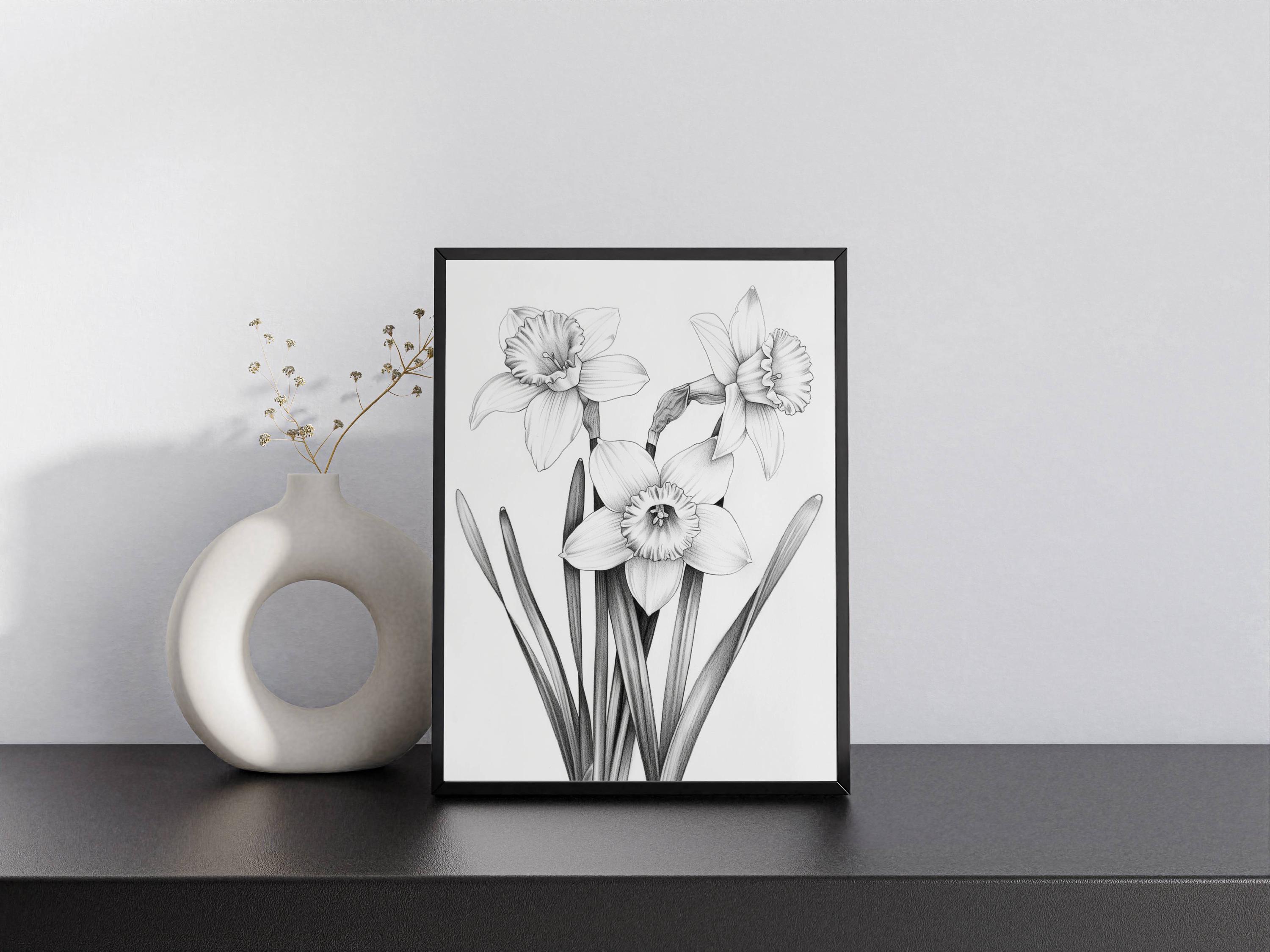 Daffodil Sketch Art Printout Printable Wall Art Vintage Art Prints ...