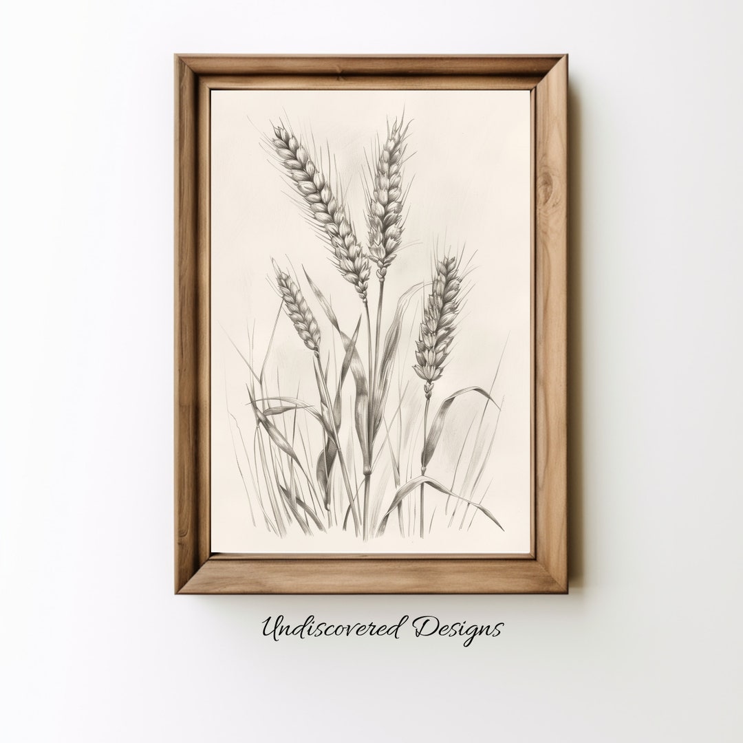 Wheat Botanical Sketch Art Printout Printable Wall Art Vintage Art ...