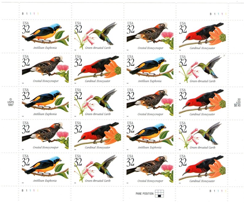 Tropical Birds Postage Stamps - Etsy