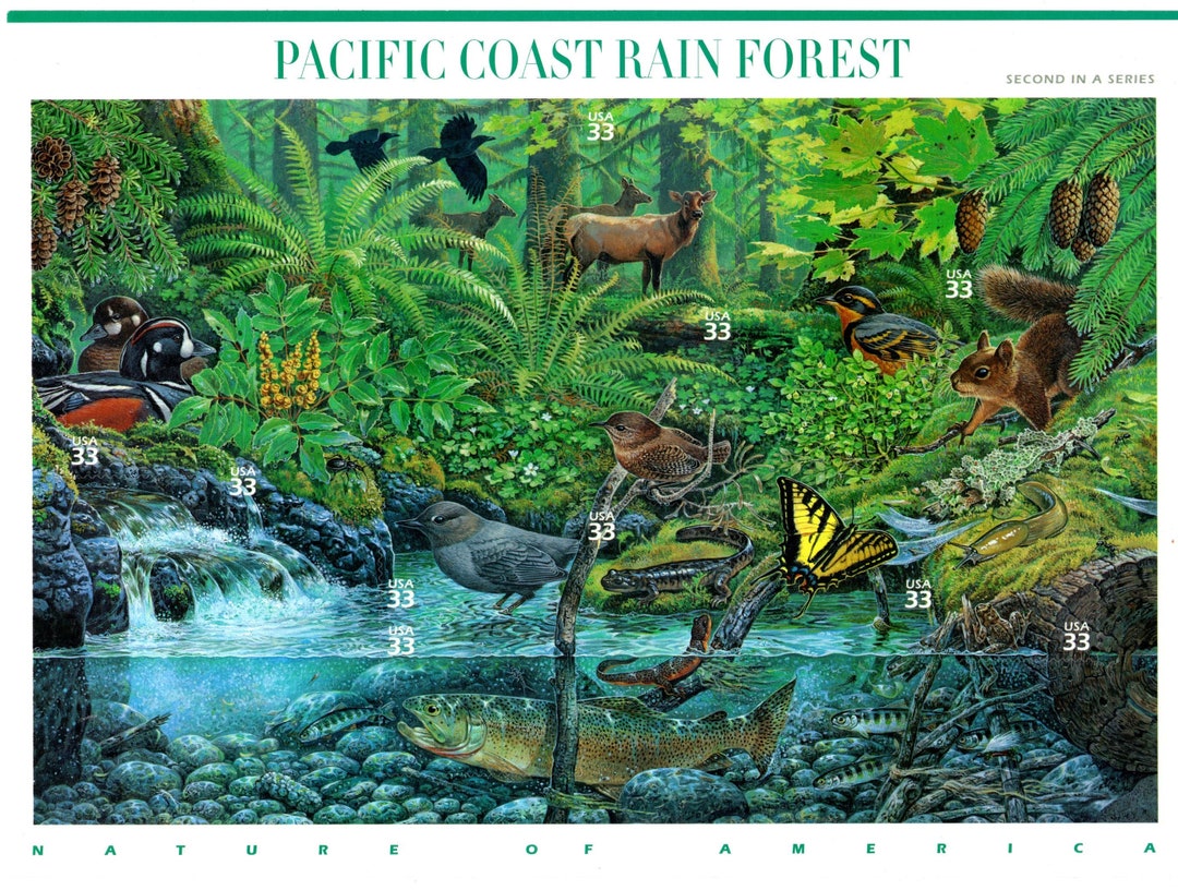 Pacific Coast Rain Forest Stamps - Etsy