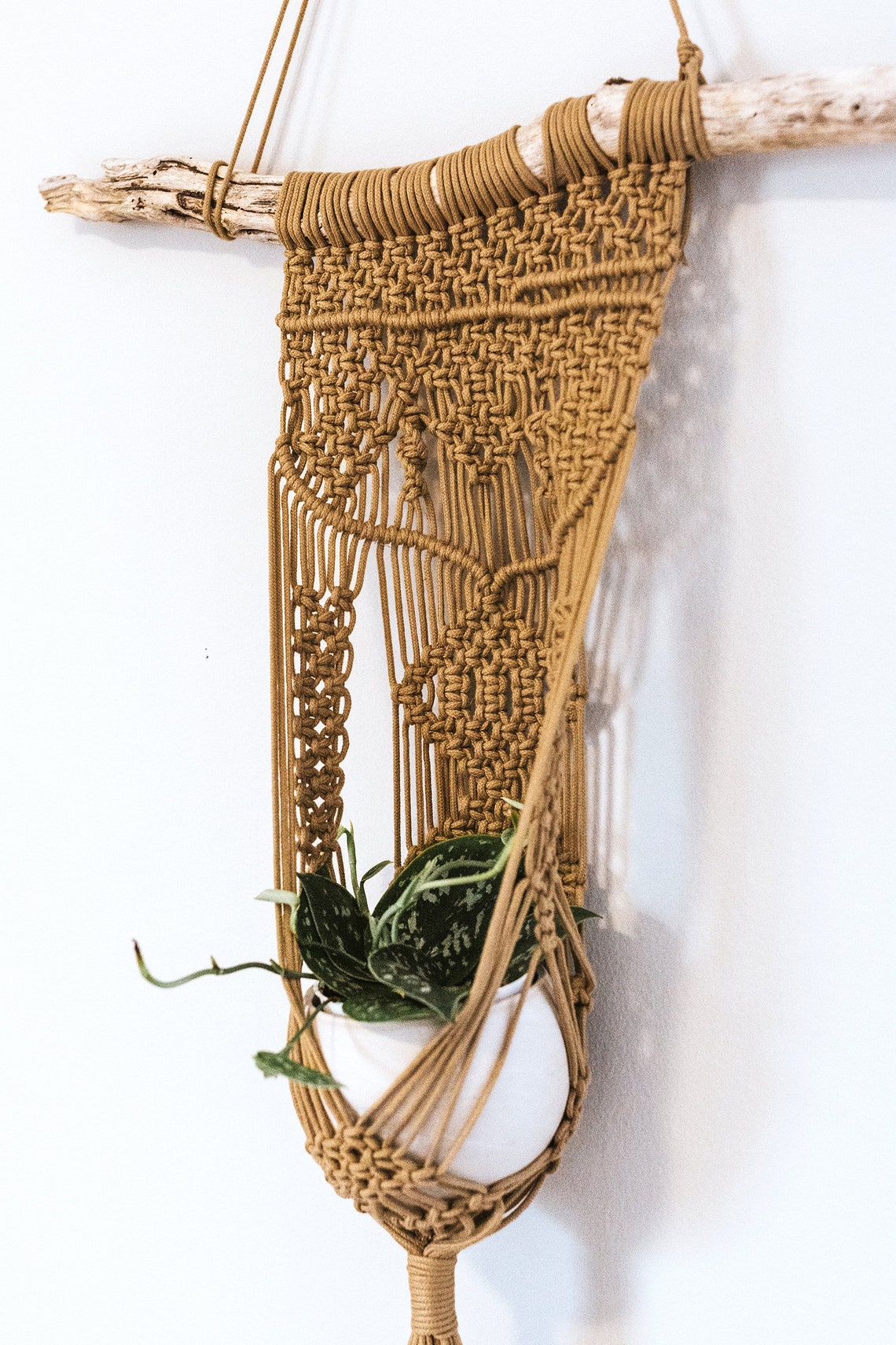 Macrame Single Plant Holder Wall Hanging - Etsy