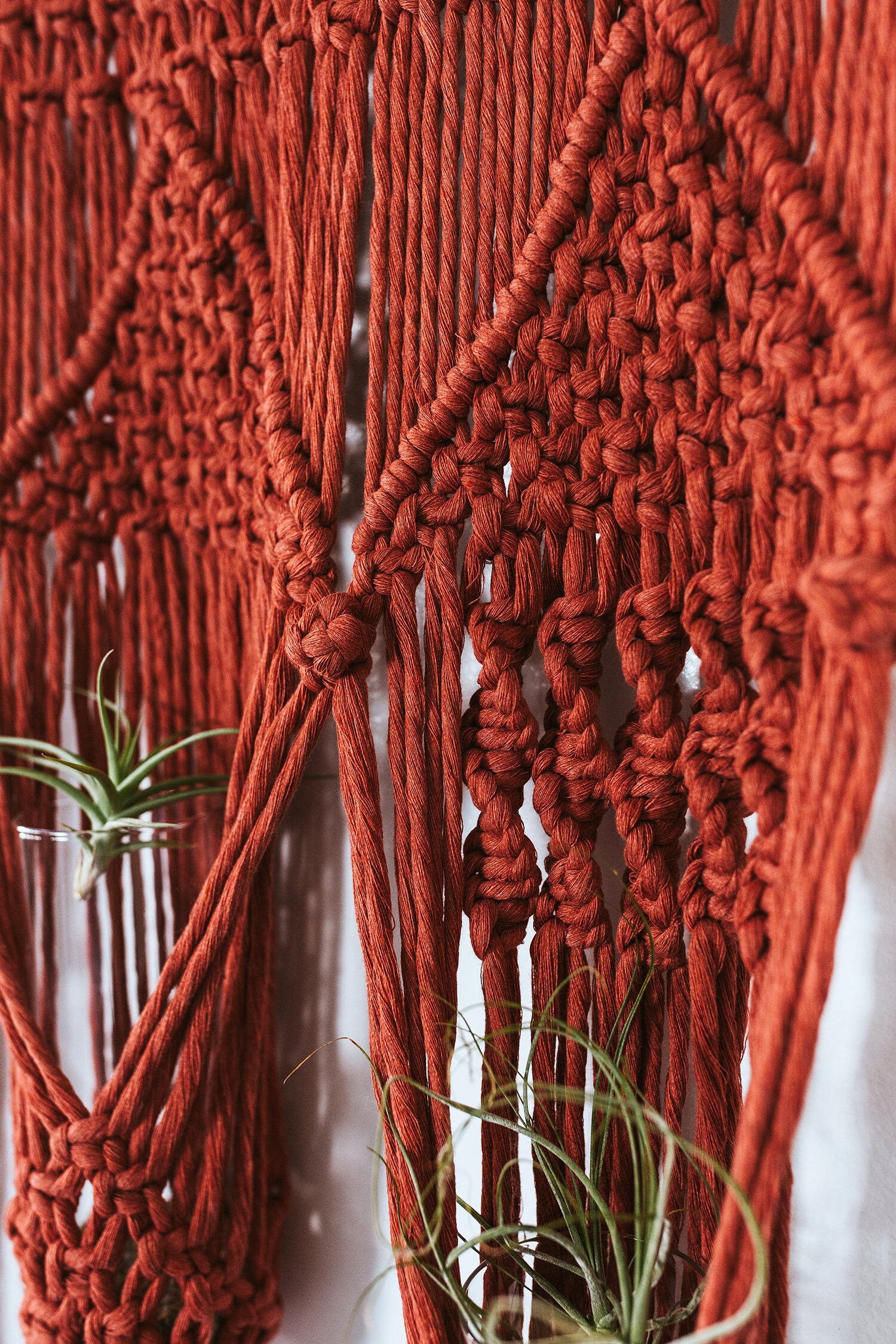 Three Plant Macrame Holder - Etsy