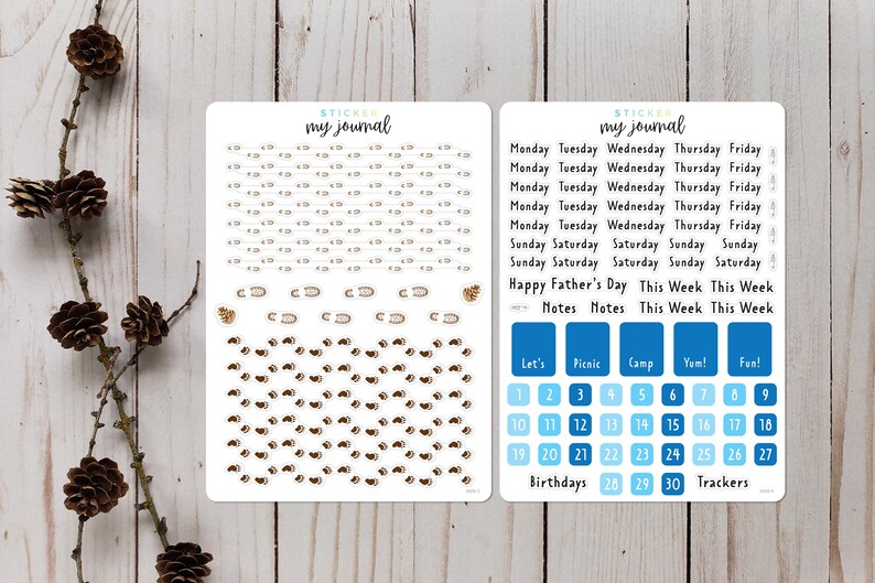 June Monthly Bullet Journal Sticker Kit - Summer Camping Themed ...