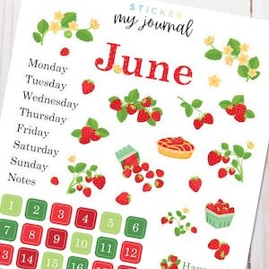 June Bullet Journal Sticker Sheet - Basics - Strawberry Themed Stickers ...