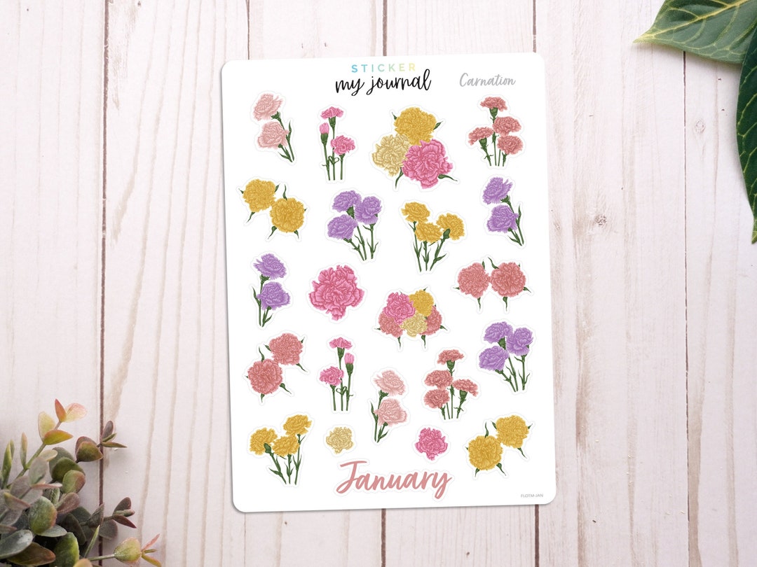 January Flowers of the Month Sticker Sheet | Carnation | Stickers for ...