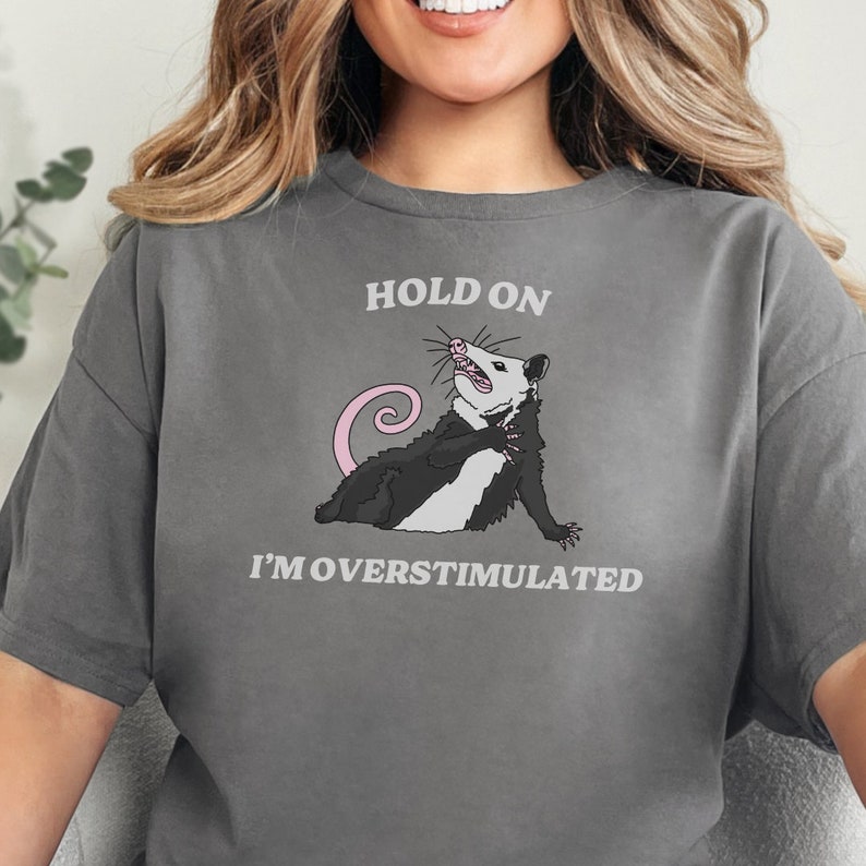 Anxiety Png My Tummy Hurts ADHD Png Possum Oppossum Meme Png Oppossum ...