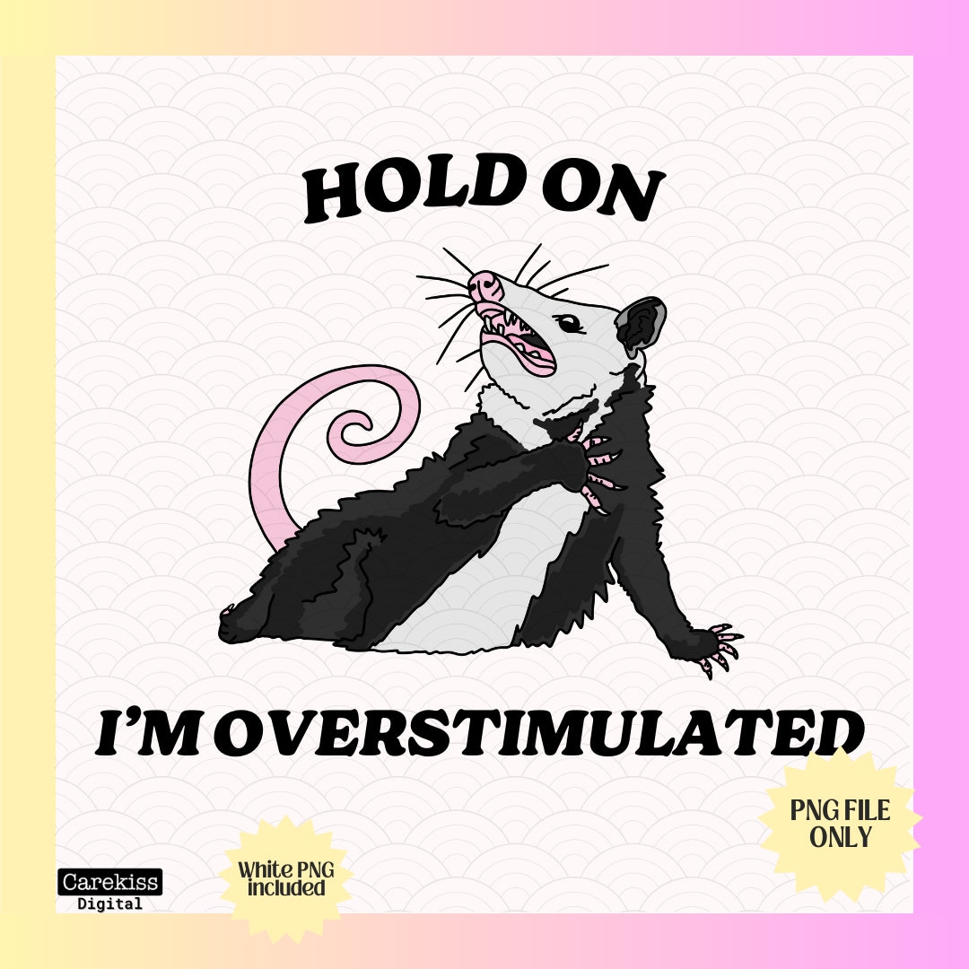 Anxiety Png My Tummy Hurts ADHD Png Possum Oppossum Meme Png Oppossum ...
