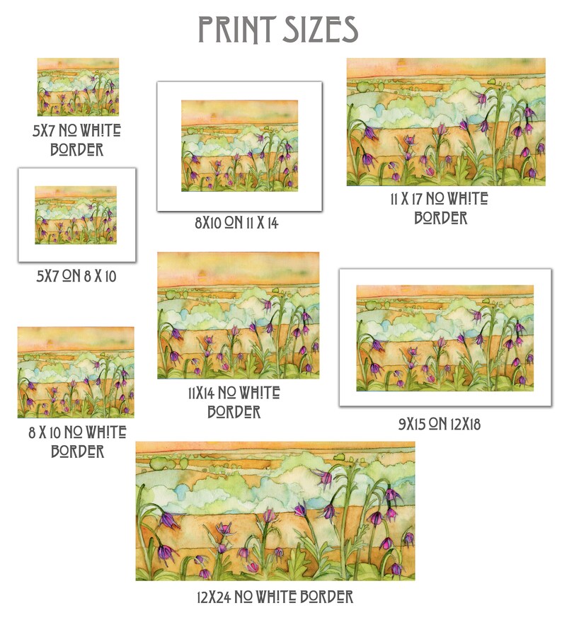 Prairie Wildflowers Watercolor Art Print, Wild Smoke Flower Buds in the ...