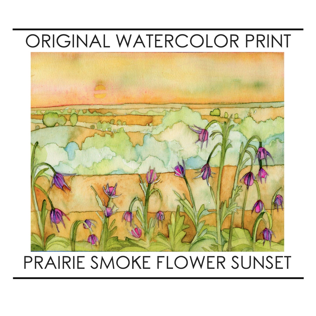 Prairie Wildflowers Watercolor Art Print, Wild Smoke Flower Buds in the ...