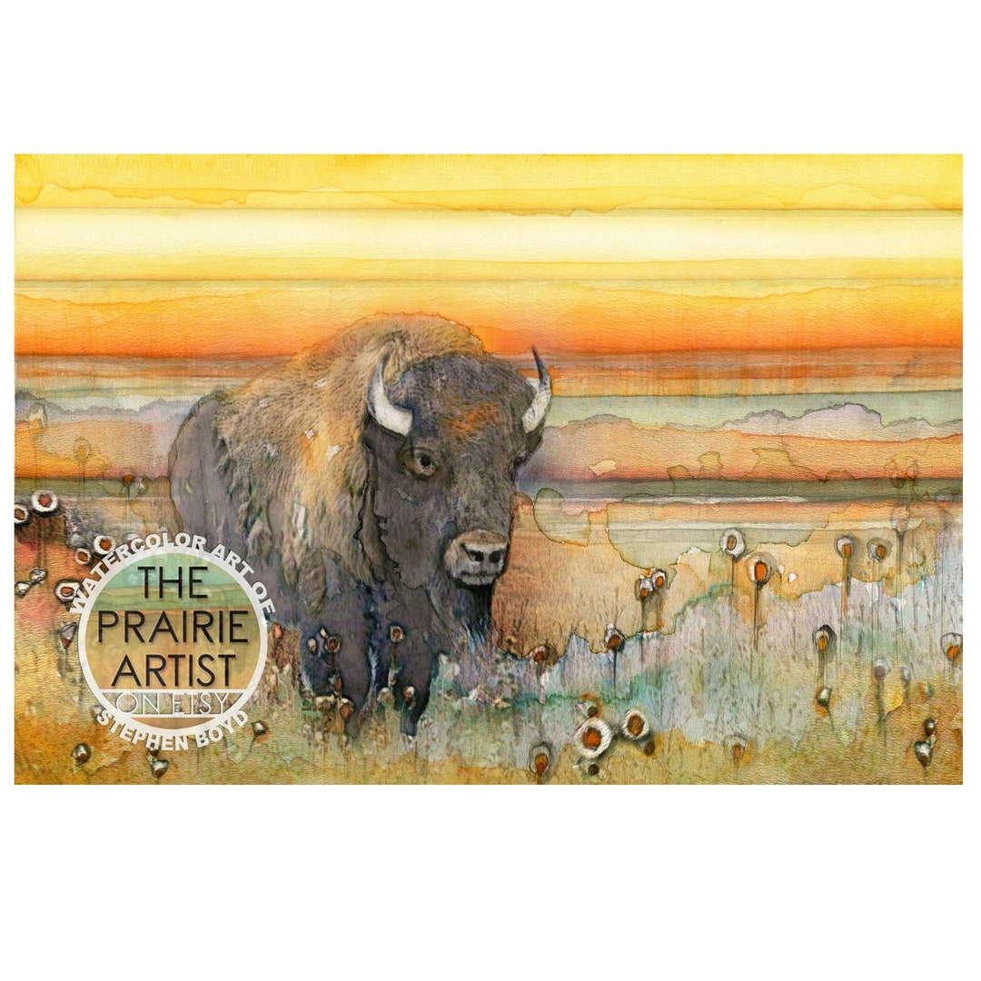 Midwest Prairie Bison Watercolor Art Print, Great Plains Tallgrass ...