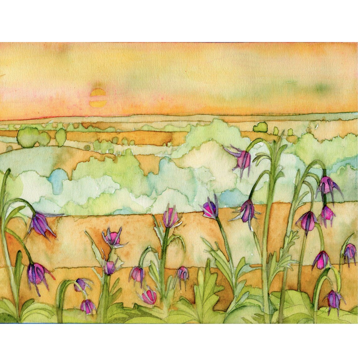Prairie Wildflowers Watercolor Art Print, Wild Smoke Flower Buds in the ...