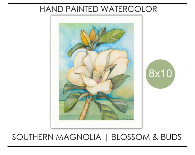 Southern Magnolia Bloom and Buds HAND PAINTED Watercolor, Magnolia ...