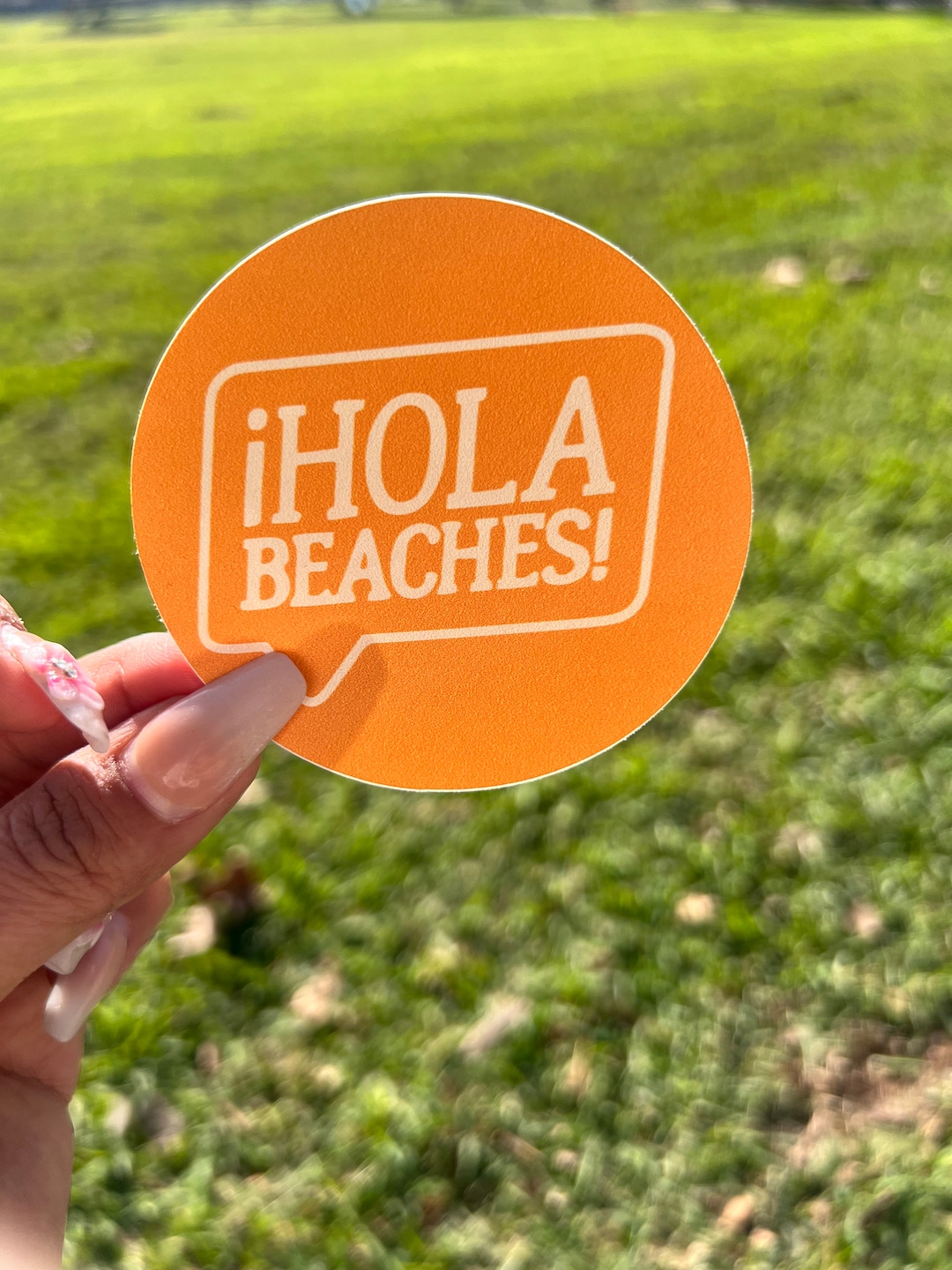 Hola Beaches Sticker - Etsy