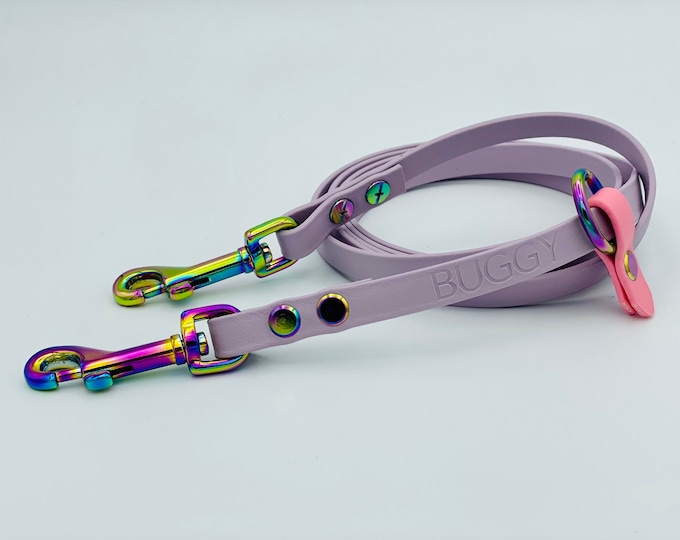 Rainbow Hardware Only, Vegan Leather Hands Free Dog Leash, Multi-way ...