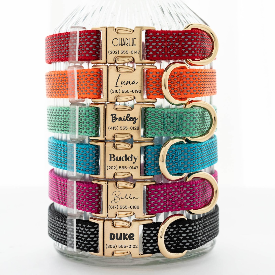 Personalized Dog Collar Engraved, Custom Pet Collar With Name ...