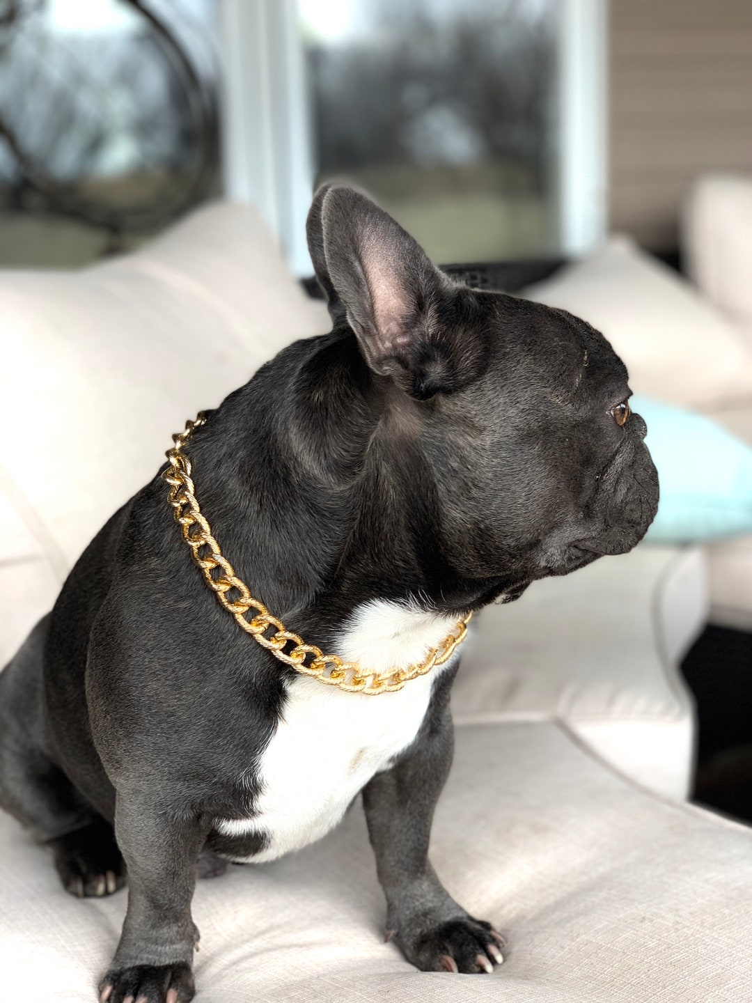 Textured Cuban Link Dog Chain: Custom Aluminum Dog Collar - Etsy