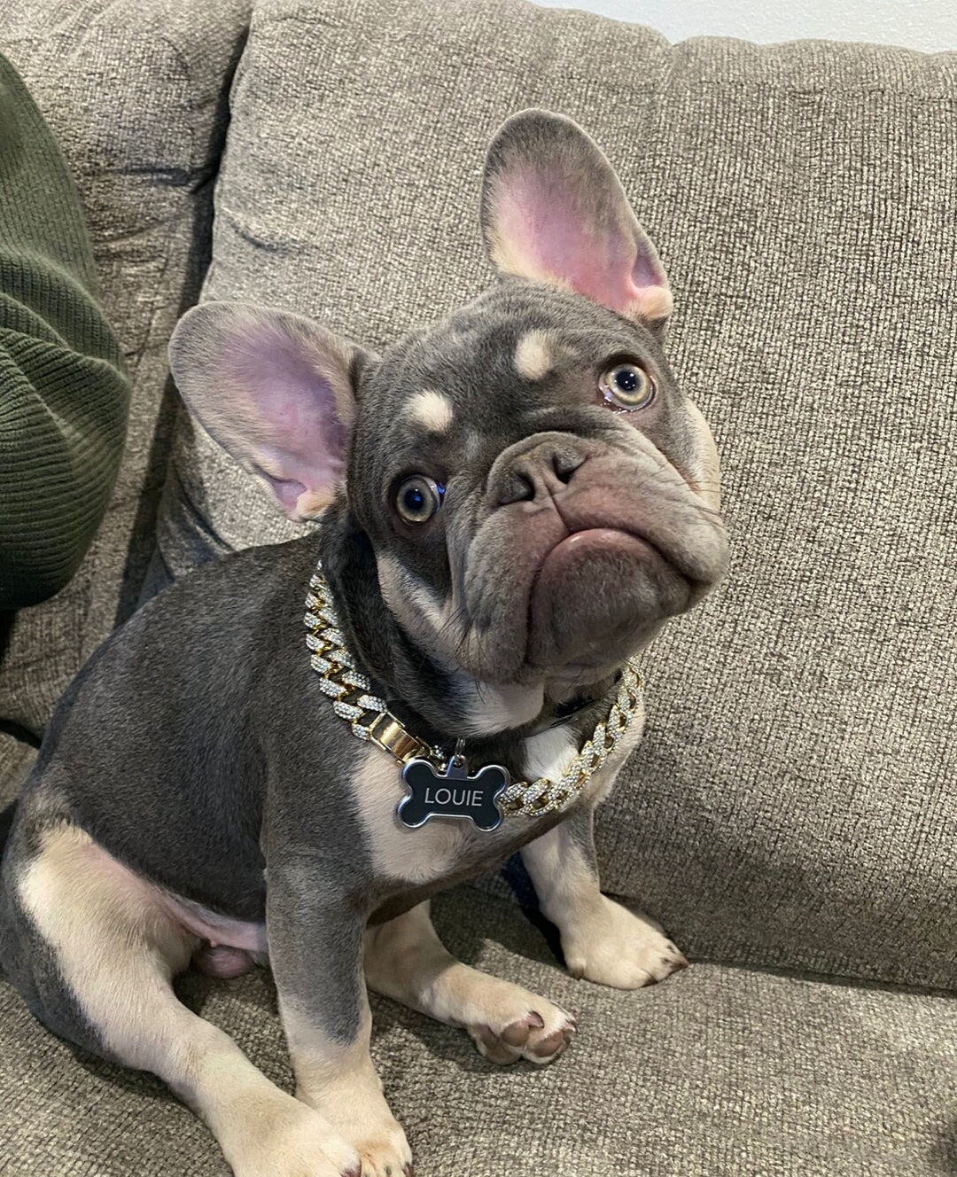 18 Mm Iced Out Cuban Link Dog Chain, Custom Dog Chain, Handmade Dog ...