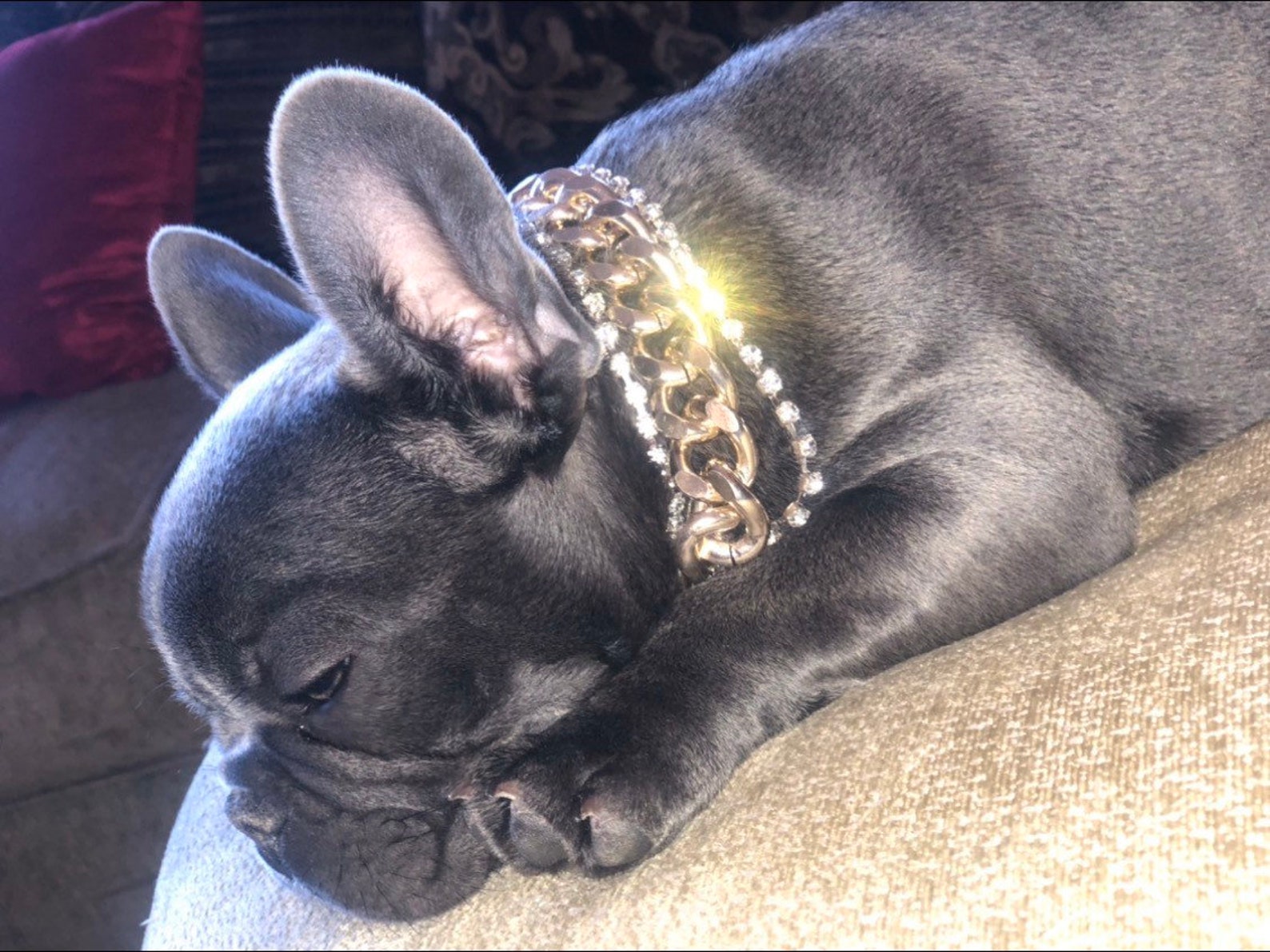 Iced Out Tennis Dog Chain/ Collar (SILVER, PINK, ROSEGOLD) - Etsy