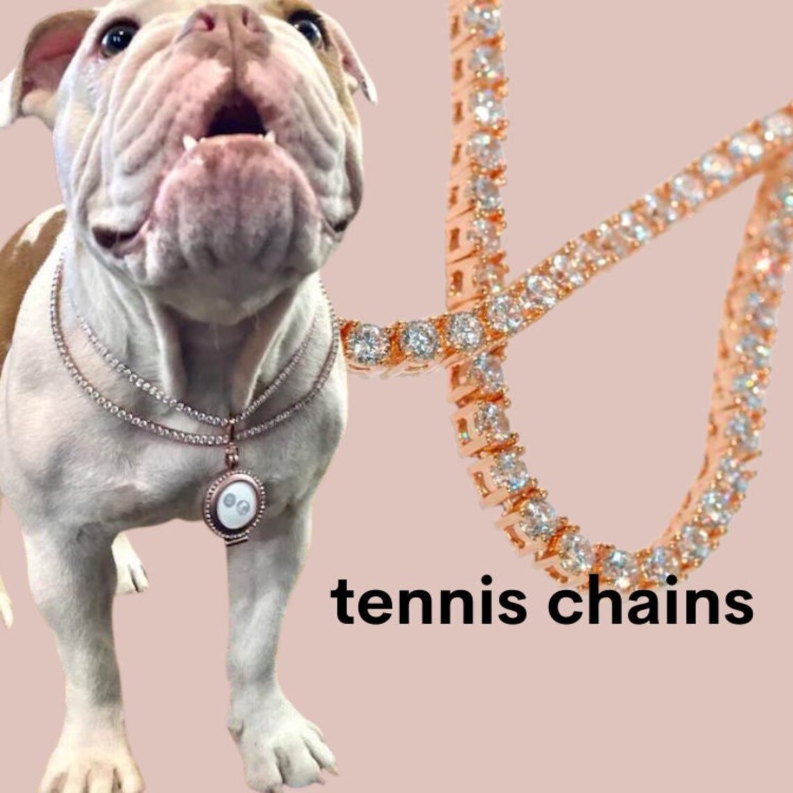 Iced Out Tennis Dog Chain/ Collar SILVER PINK ROSEGOLD - Etsy