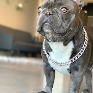 Texturized Cuban Link Dog Chain, Custom Dog Chain, Handmade Dog Collar ...