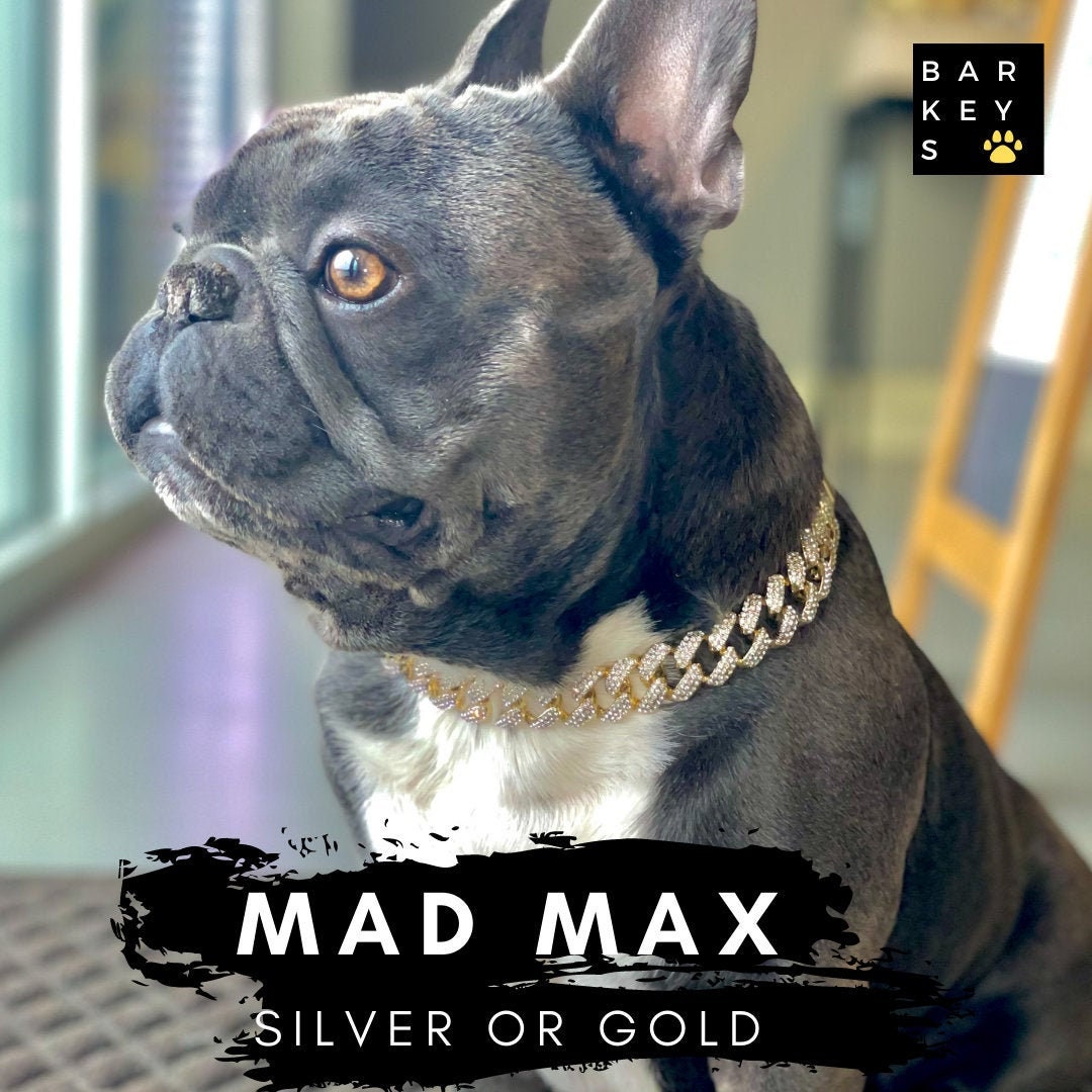 18 Mm Iced Out Cuban Link Dog Chain Custom Dog Chain | Etsy