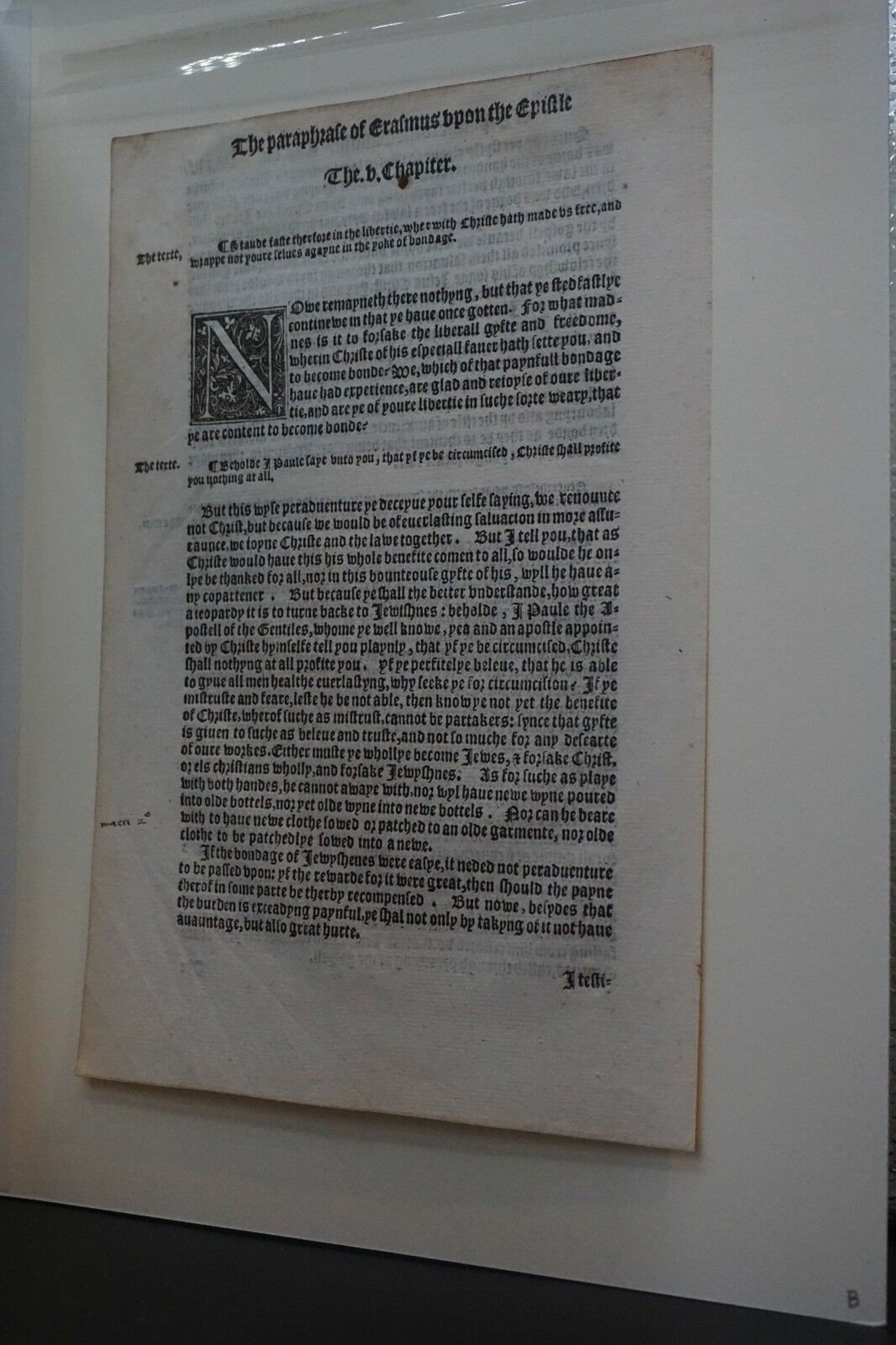 1548 Paraphrases of Erasmus Leaf - Etsy