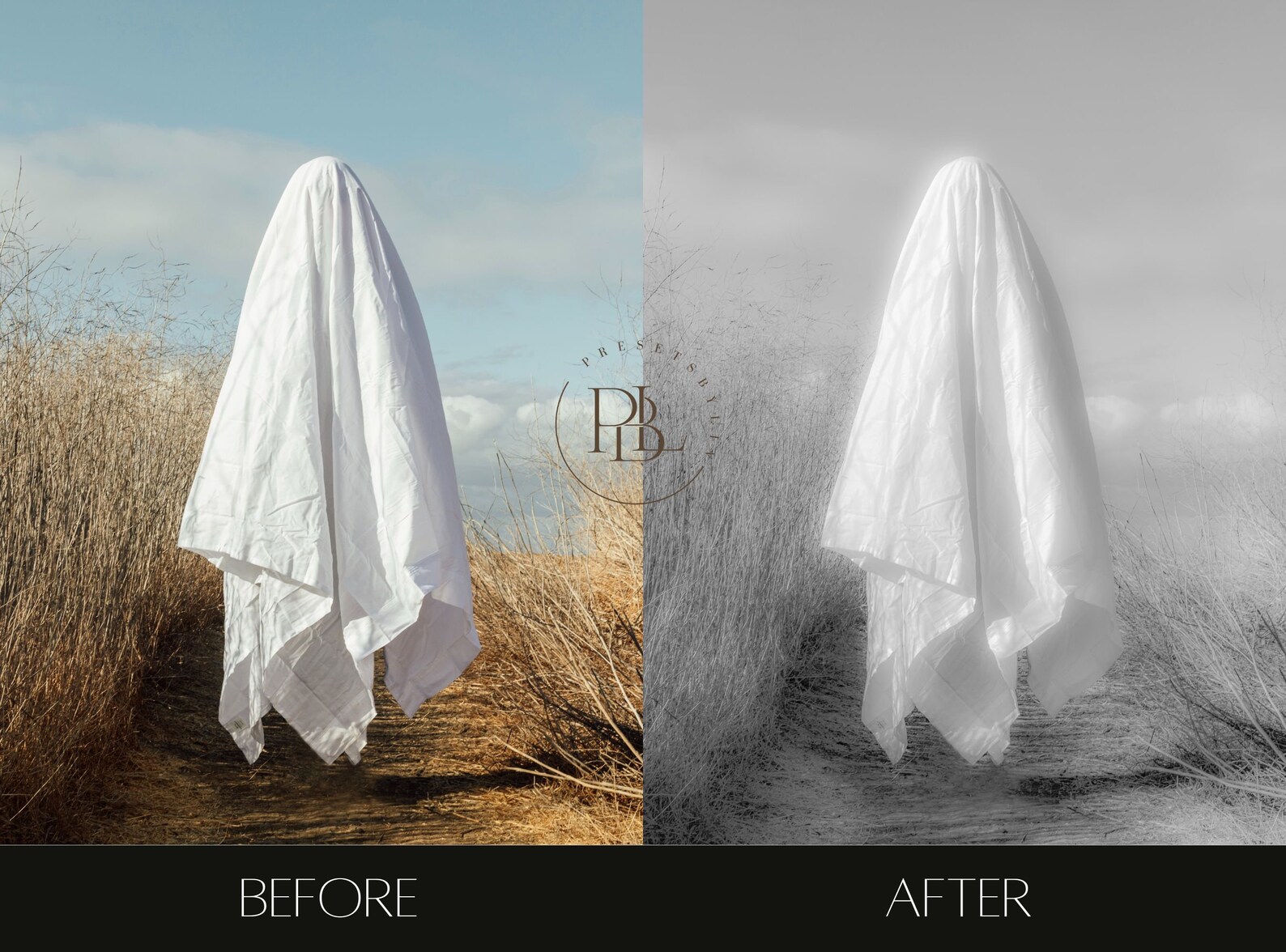 5 GHOST FOG Lightroom Presets, Mobile & Desktop Presets, Gloomy ...