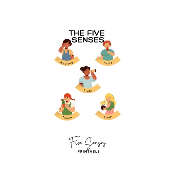 The Five Senses - Etsy