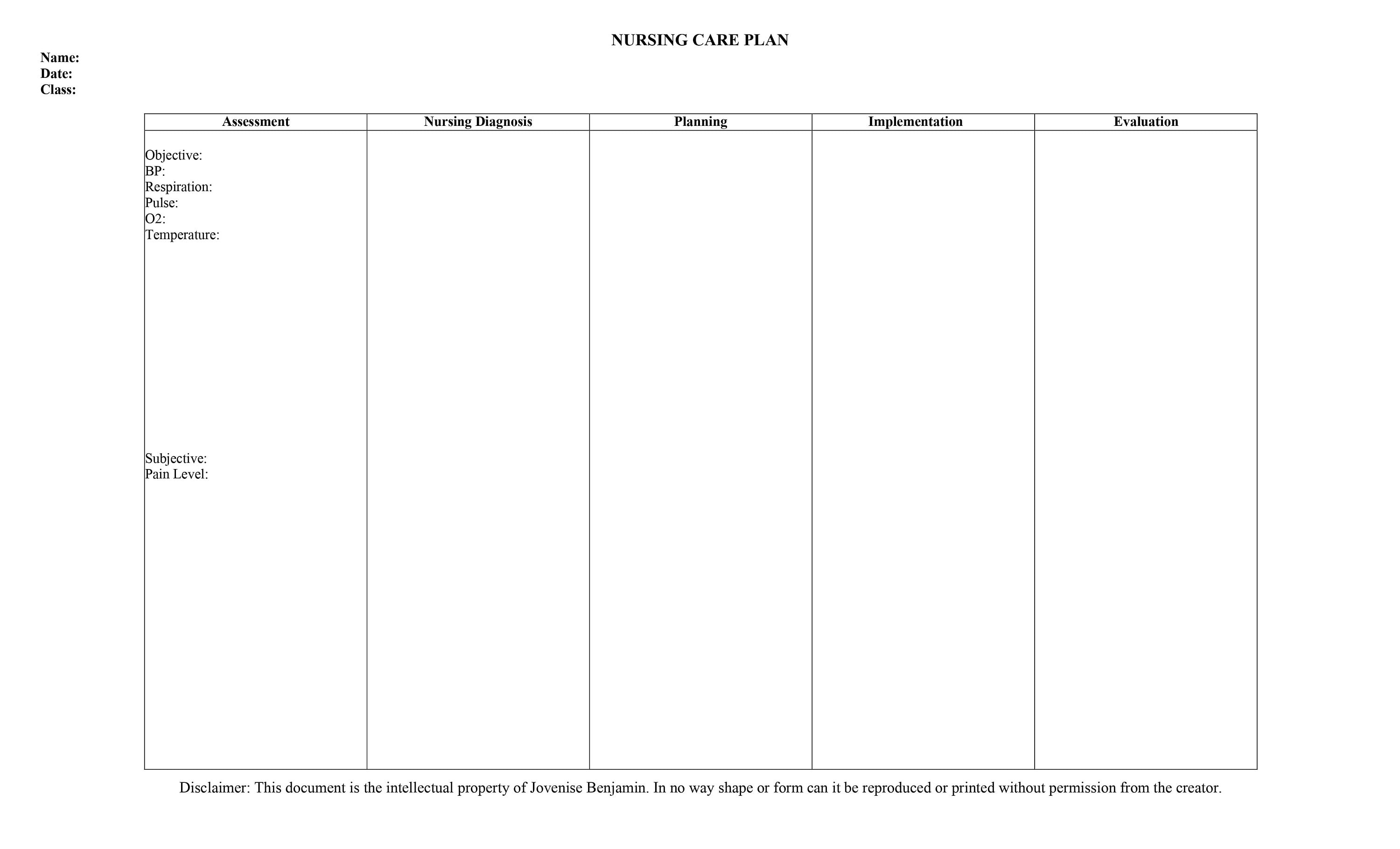 Nursing Process (ADPIE) Template - Etsy