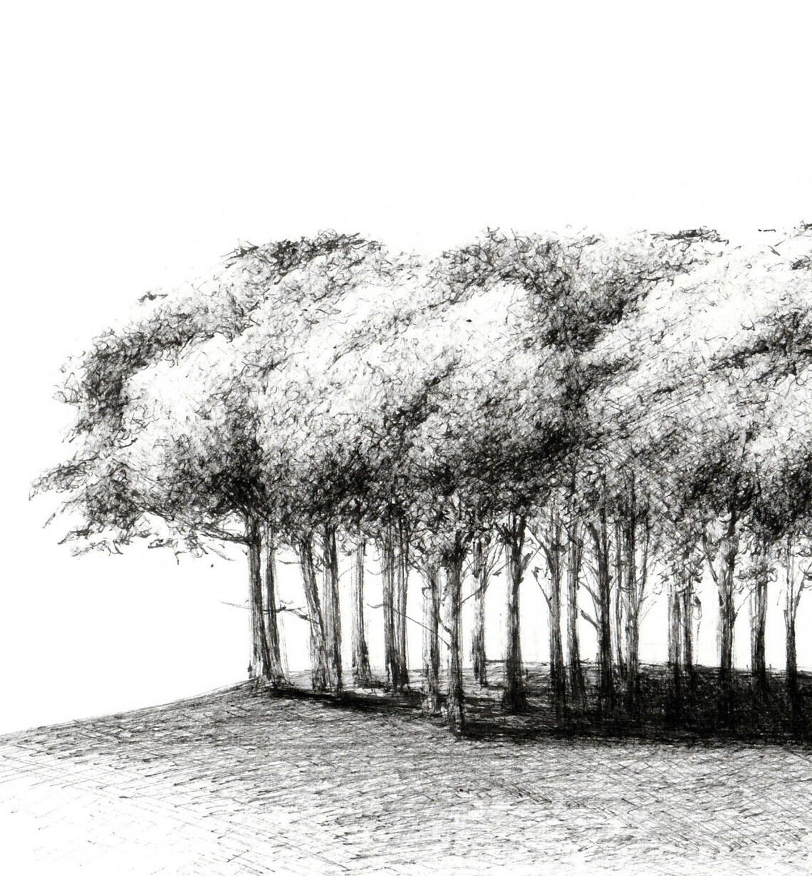 Nearly Home Trees Nearly Home Trees Print Almost There - Etsy UK