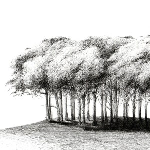 Nearly Home Trees, Nearly Home Trees Print, Almost There Trees ...